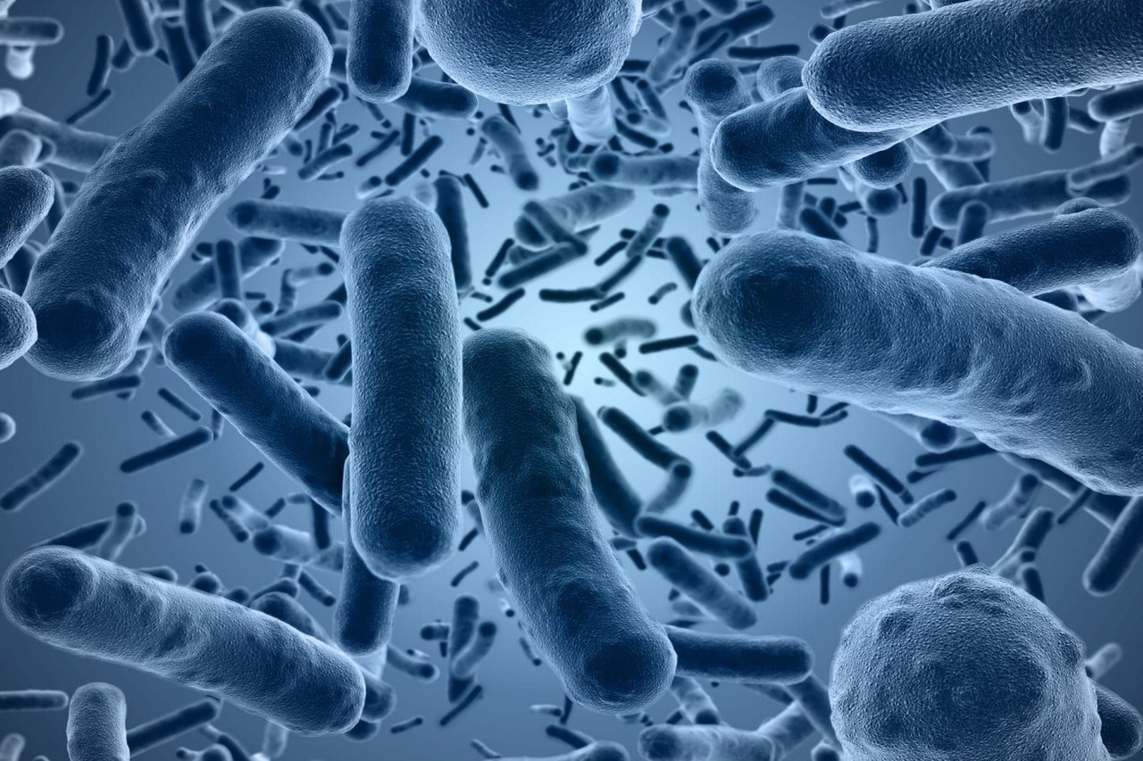 Rainbow Drugs Corporation